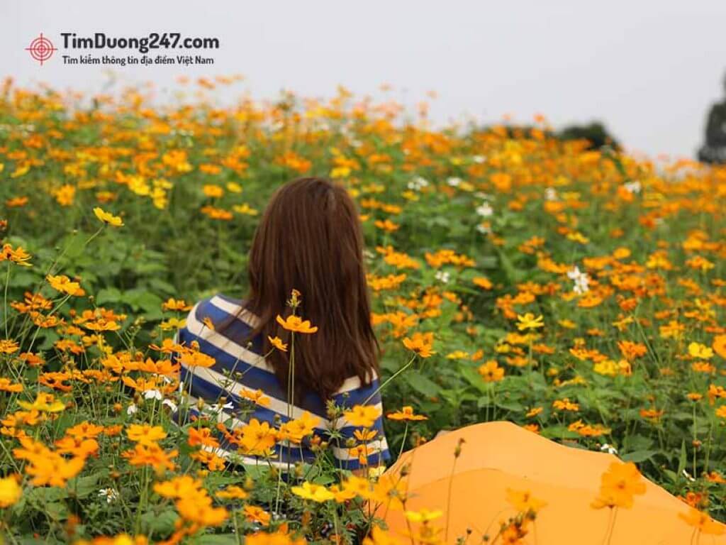 Bãi Đá Sông Hồng, Ngõ 264 Âu Cơ, Nhật Tân, Tây Hồ, Hà Nội - Tìm Đường 247